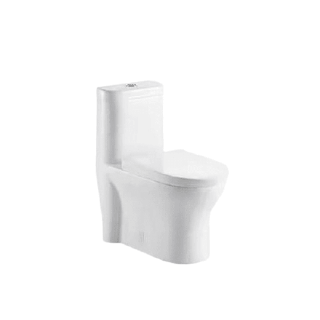 Siphonic One-Piece Toilet Dual Flush - SA-2255 – TESCO Building Supplies